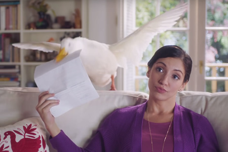 Seguro Suplementario Individual | Aflac