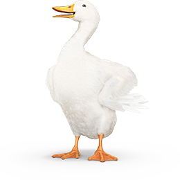 Aflac: Build Your Brochure - Admin Tool